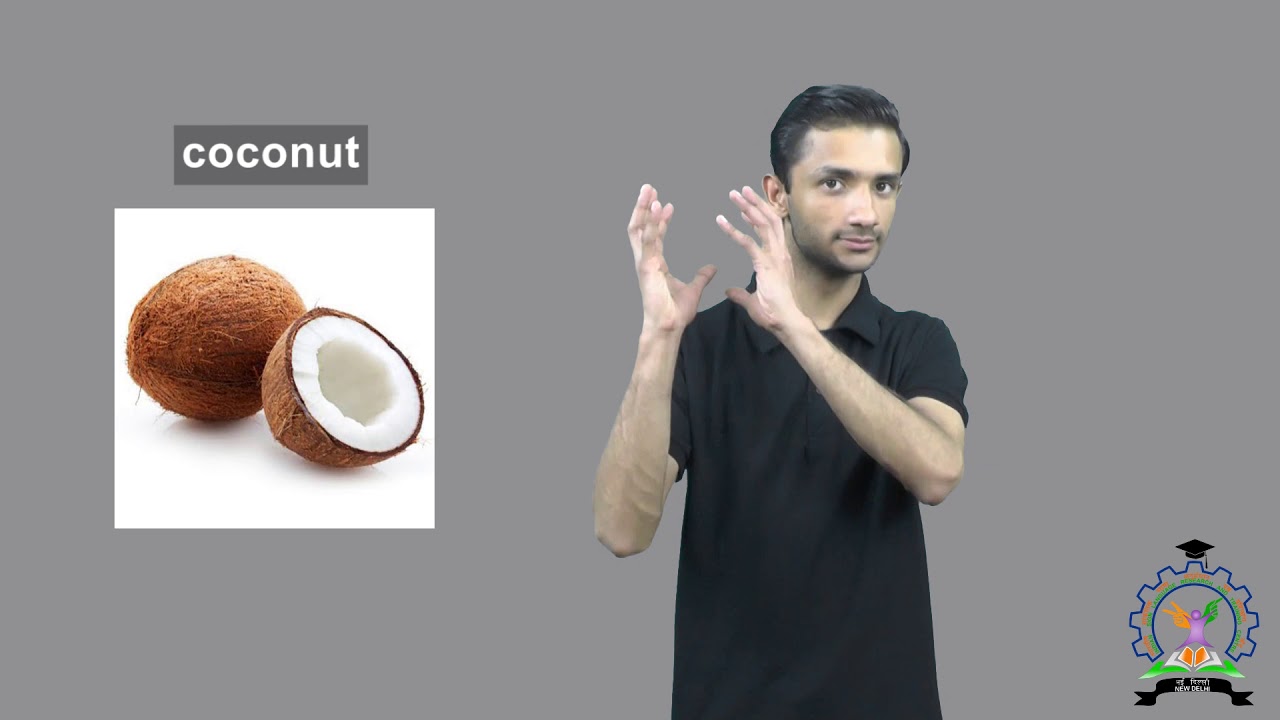 coconut sign 1 - YouTube