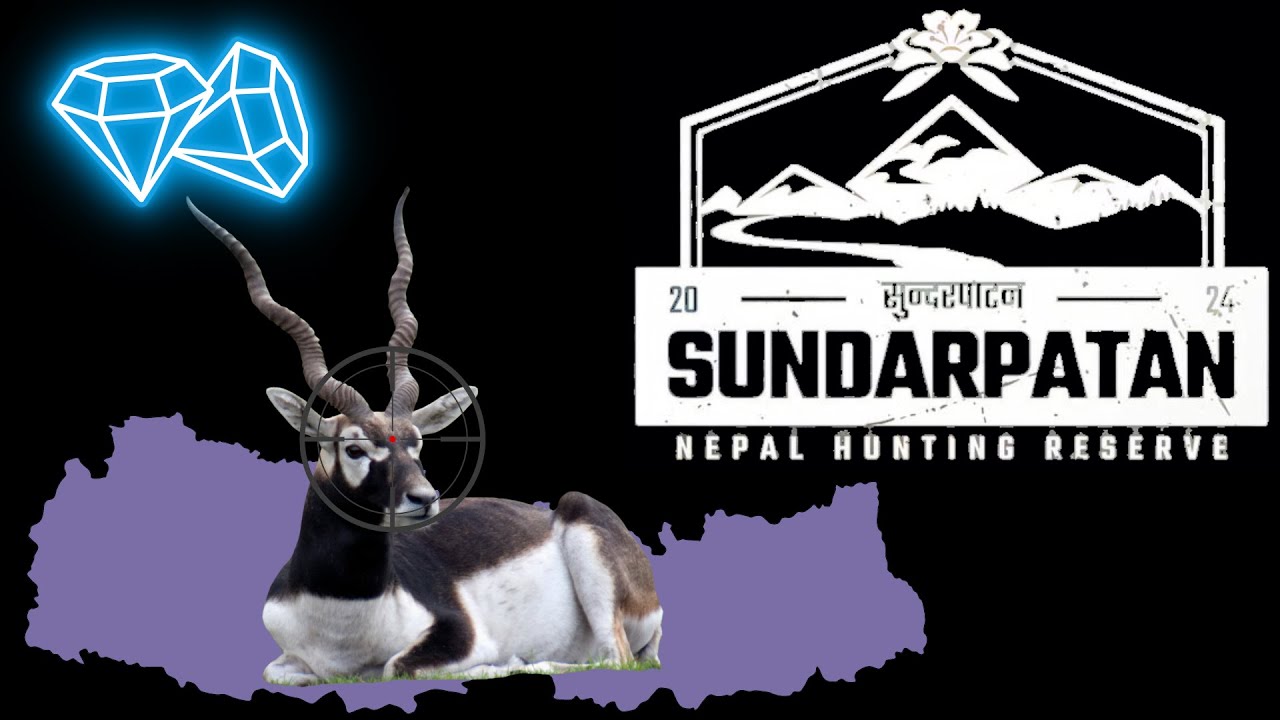 My First Hunt On Sundarpatan Adds A Diamond To The Lodge! - YouTube