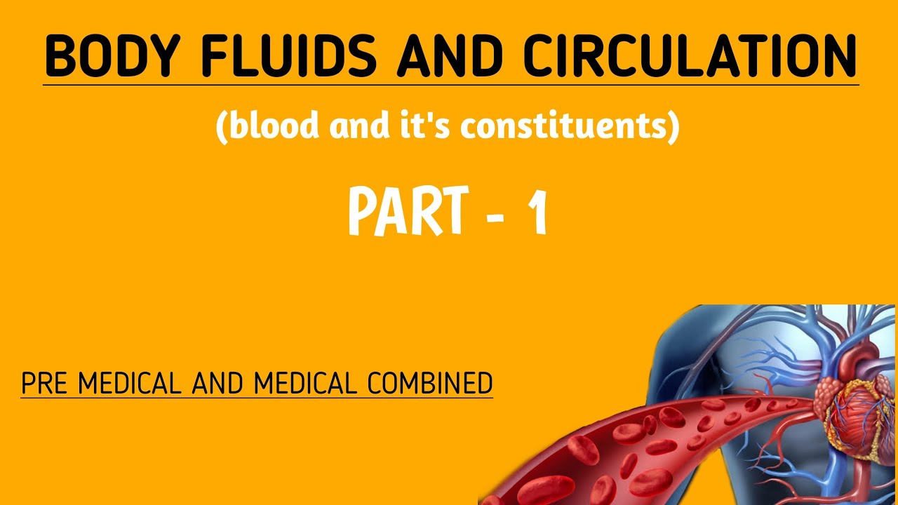 Body Fluids And Circulation / Human Blood | RBC | WBC | Platelets ...