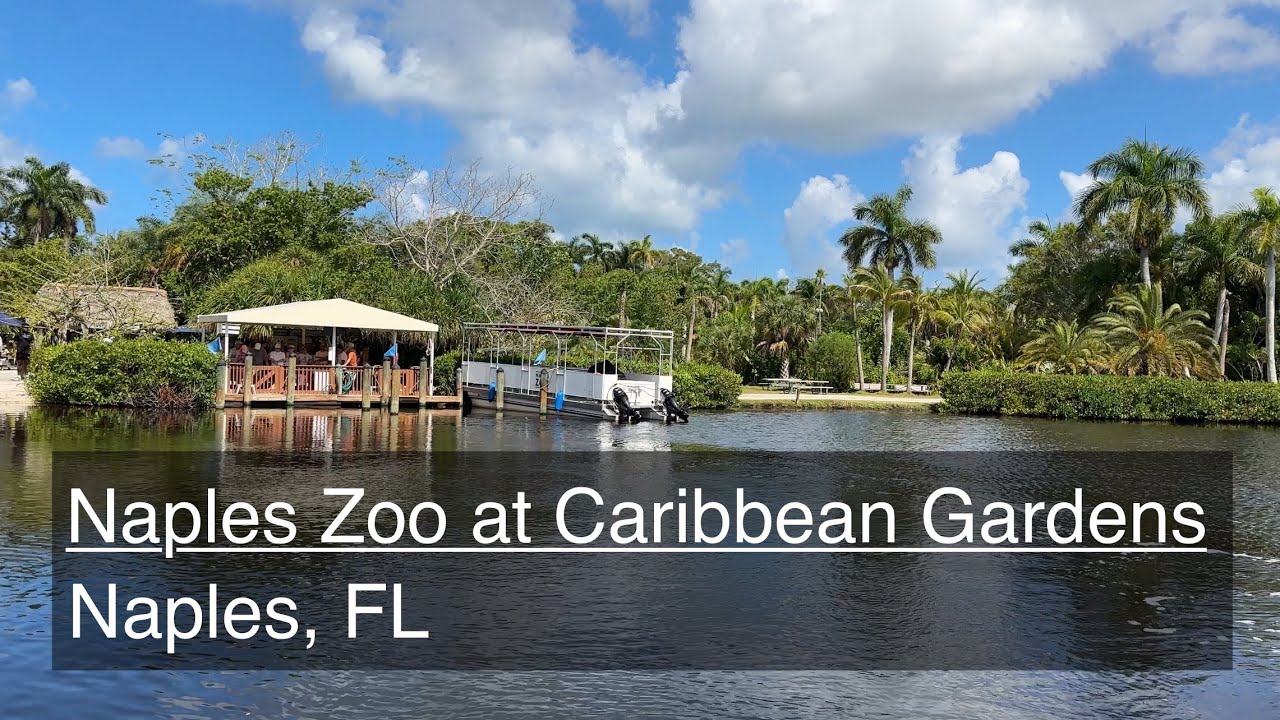 Visit to Naples Zoo at Caribbean Gardens! - YouTube