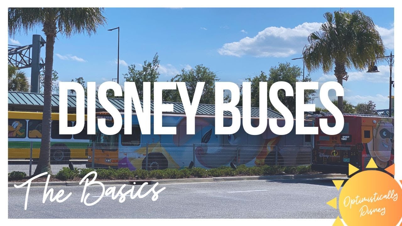 Disney Bus Basics at Walt Disney World - YouTube