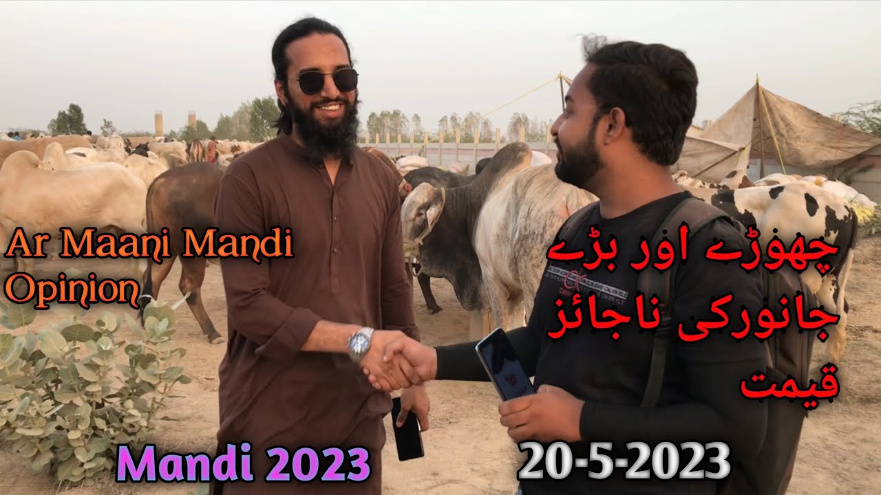 Proper Rate Update..☹️ | fuzzol Demand😒l @ARMaani7 rate opinion - YouTube