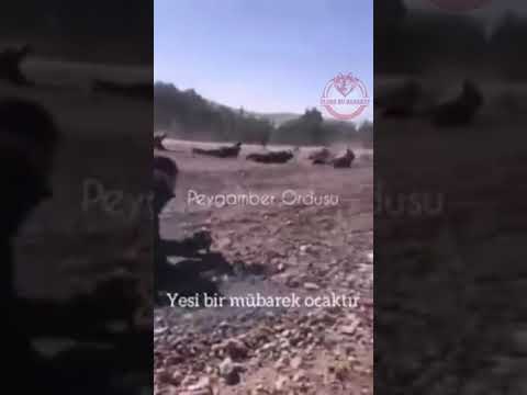 Özel Harekatçı olmanın, Jandarma olmanın, Bozkurt  olmanın gururunu yaşayanlarla gurur duyuyoruz