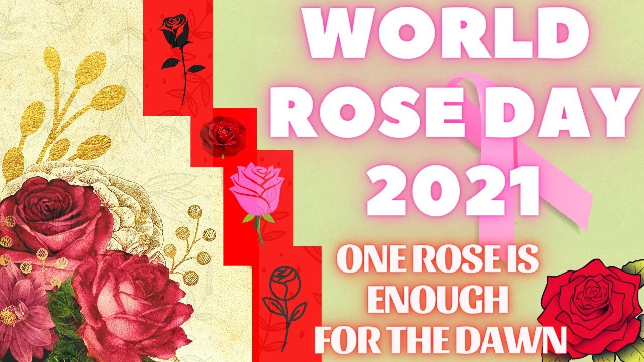 World Rose Day 2021 || Rose Day || Cancer Patients Day - YouTube