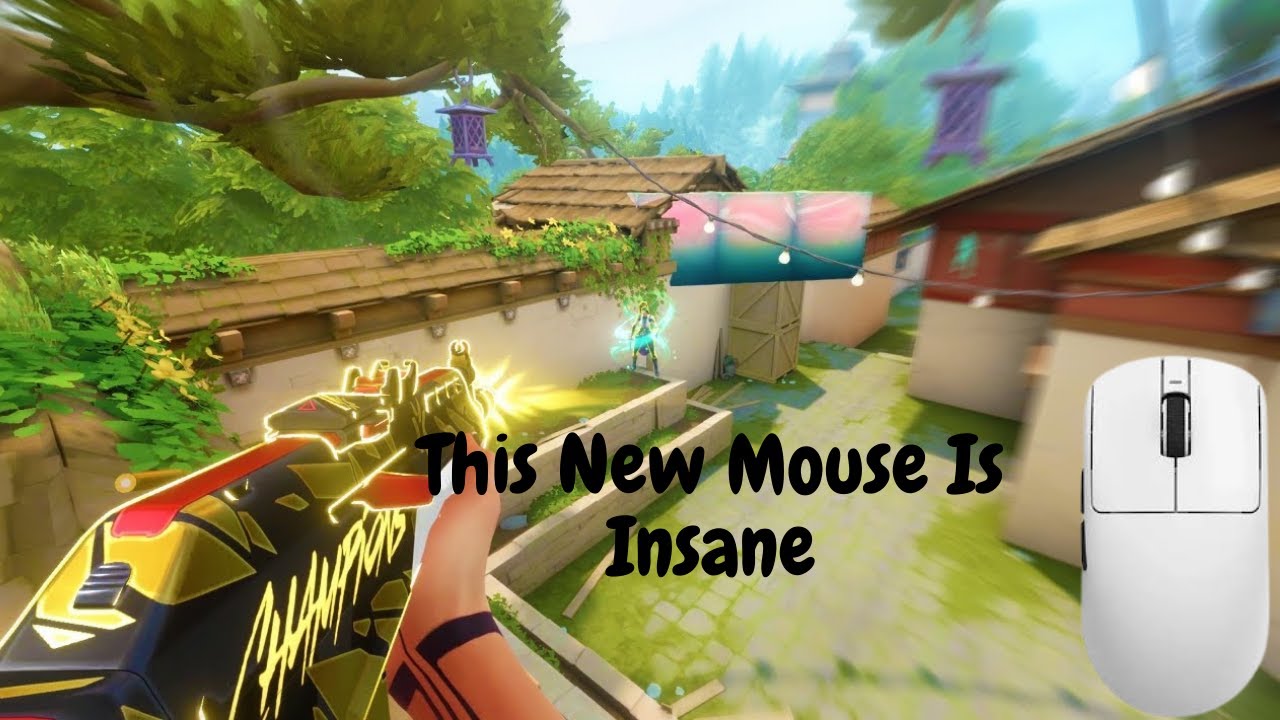 This New Mouse Is Insane Valorant - YouTube