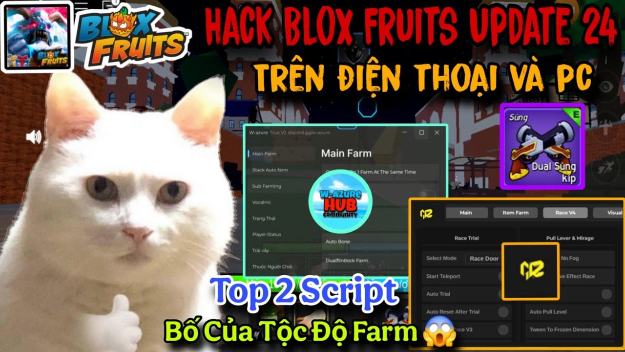 Hack Blox Fruits Update 24 Trên Điện Thoại | Script W-aruze Hub ...