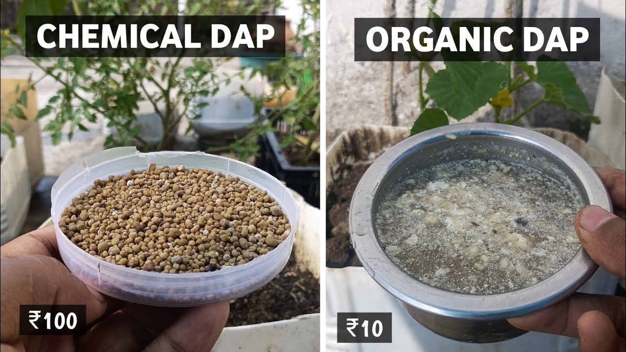 Make Your Own DAP ALTERNATIVE at Home ! Cheap and Effective - YouTube