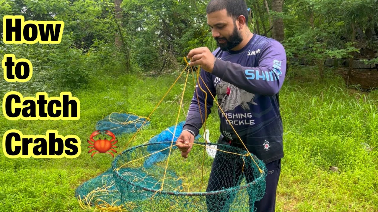 How to catch Mud crabs detailed Video🦀🔥#crabs #mudcrabs # ...