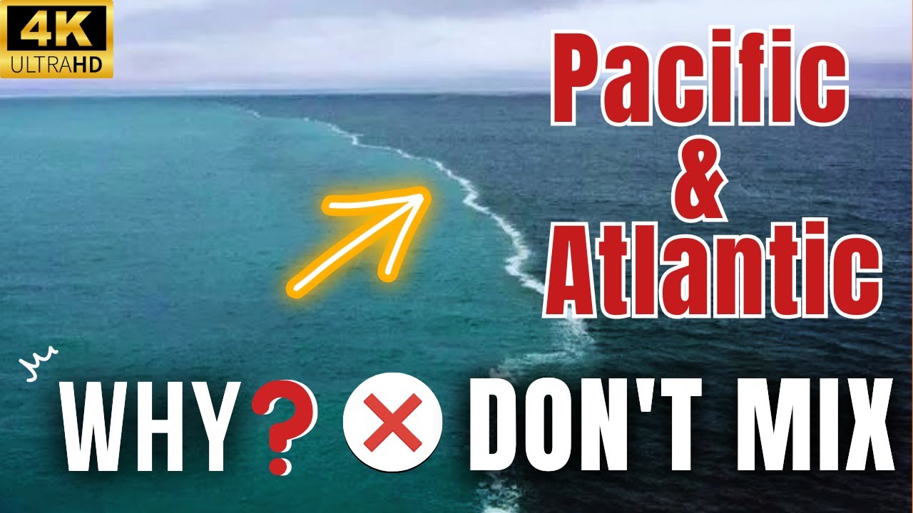 Pacific vs. Atlantic: Do They REALLY Mix? The Truth Will Surprise You ...