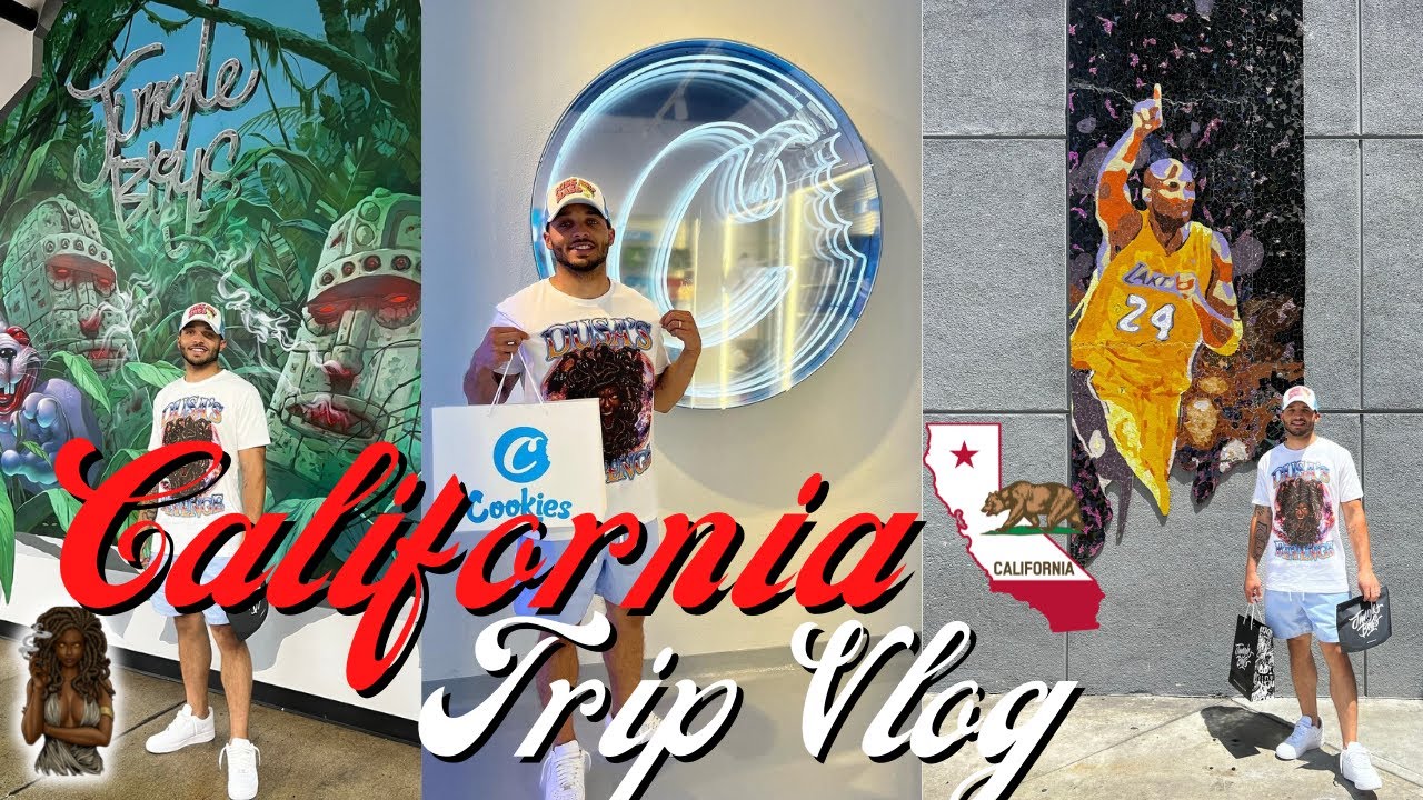 Best Dispensaries in California ? - Jungle Boys, Cookies, Stiiizy ...