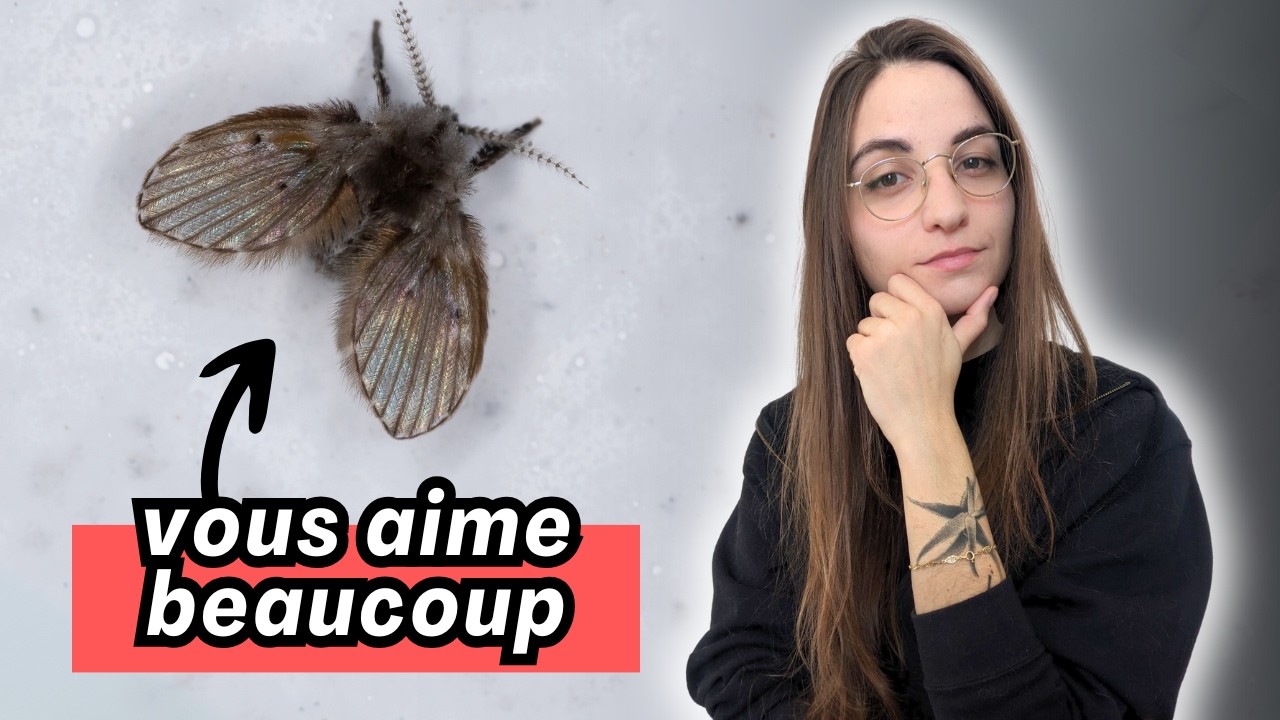 4 minutes pour comprendre la MOUCHE A DRAINS (+ annonce !) - YouTube