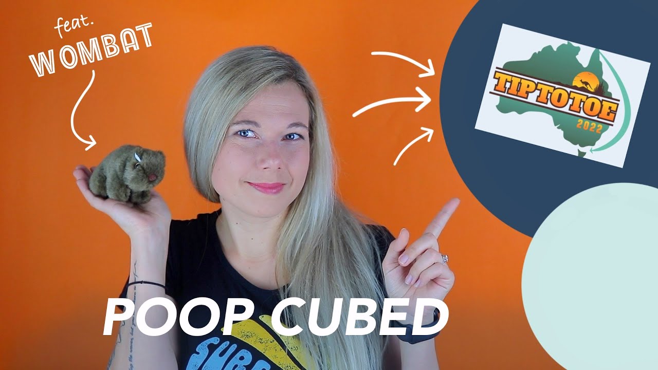 Why do WOMBATS poop cubes? | Anniversary!!!🥳 #tiptotoe2022 - YouTube