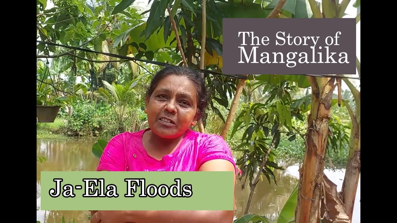 Ja Ela Floods - The Story of Mangalika - YouTube