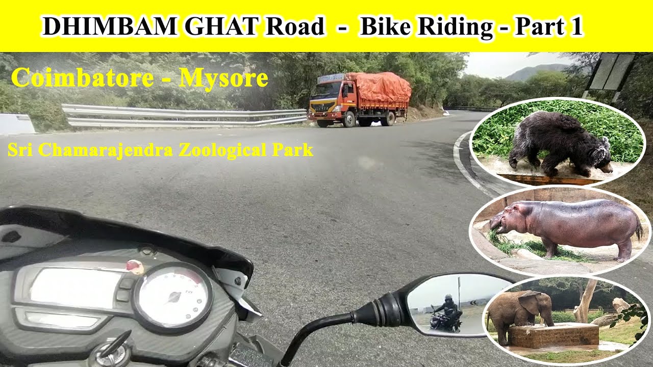dhimbam ghat road | Coimbatore to mysore road trip tamil | PART - 1 ...