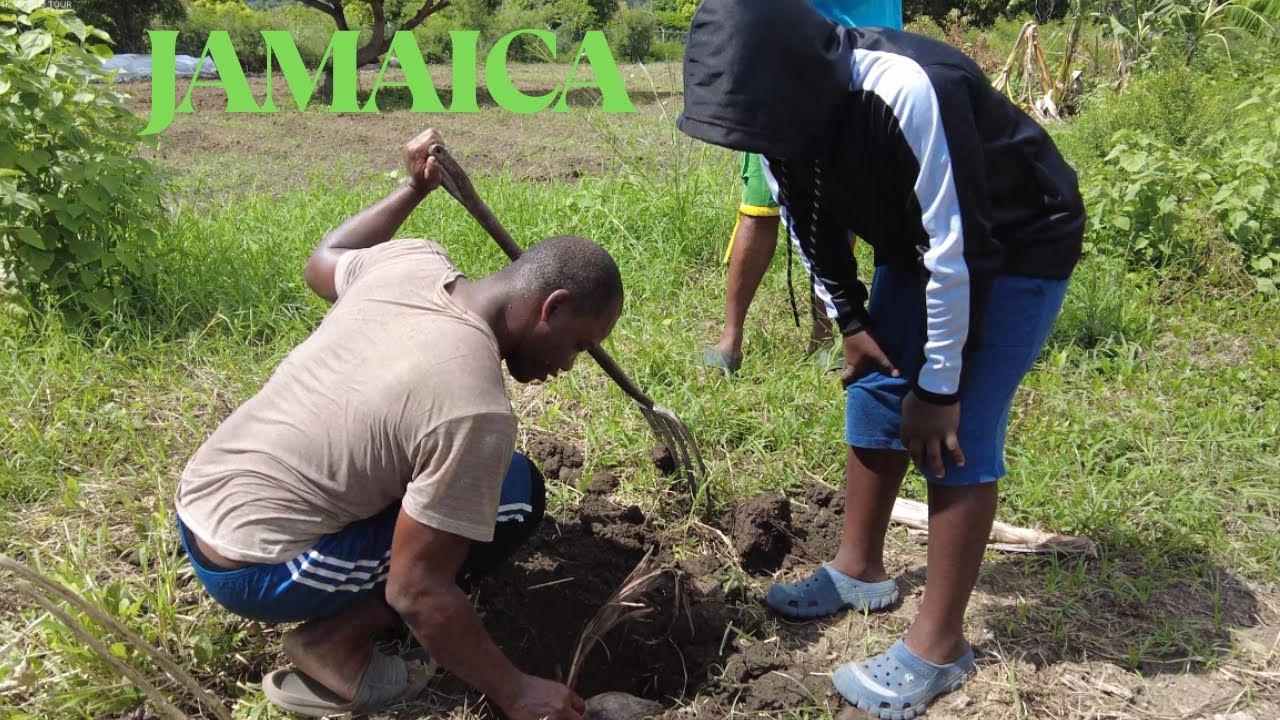 DISCOVER the Hidden Gem of Norris District in ST Thomas - YouTube