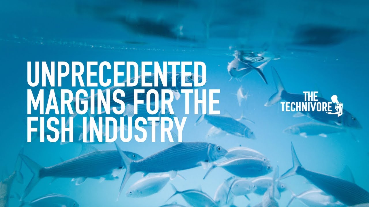 Cultured Fish Co BlueNalu Guides 75% Profit Margins - YouTube