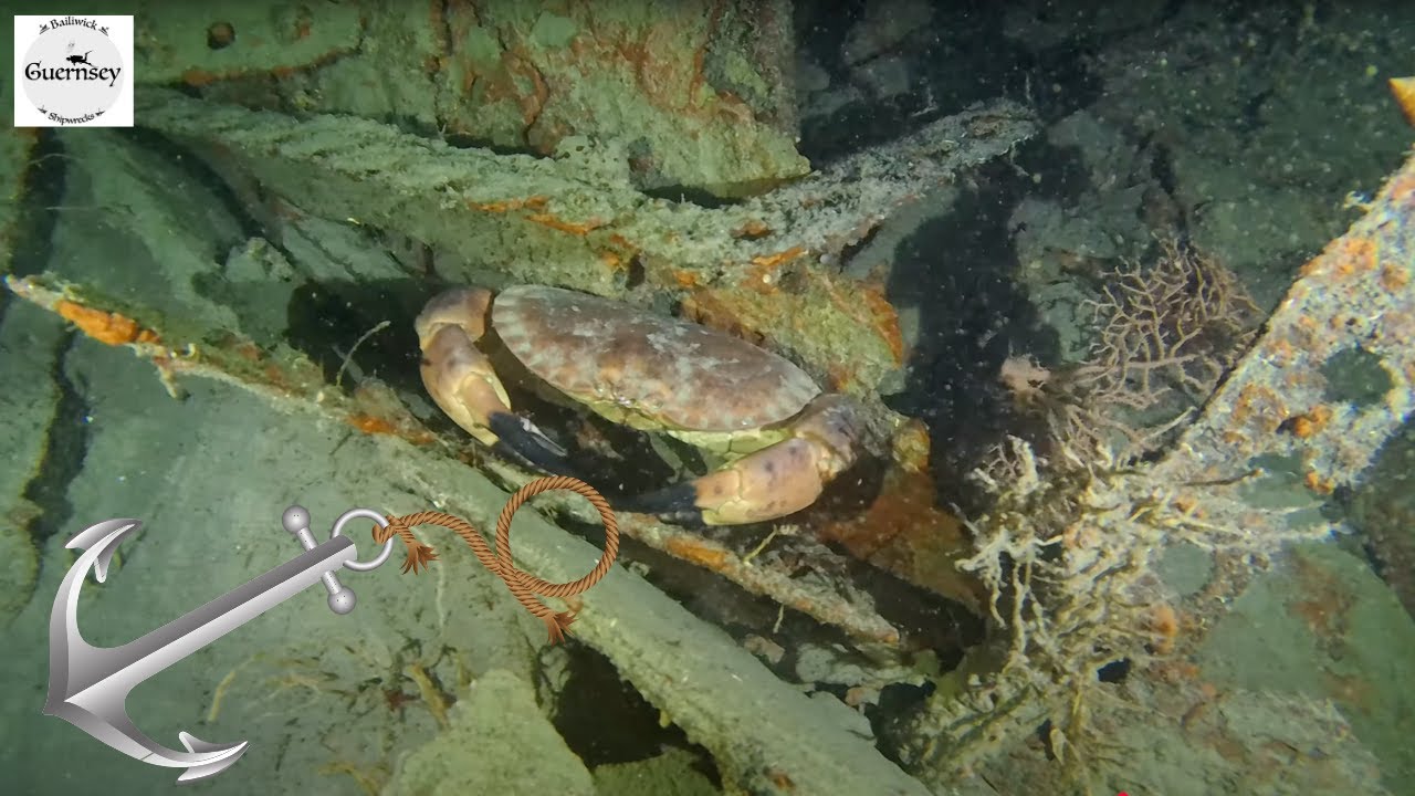 Anchor Recovery for an old fisherman friend and Scalloping by hand ...