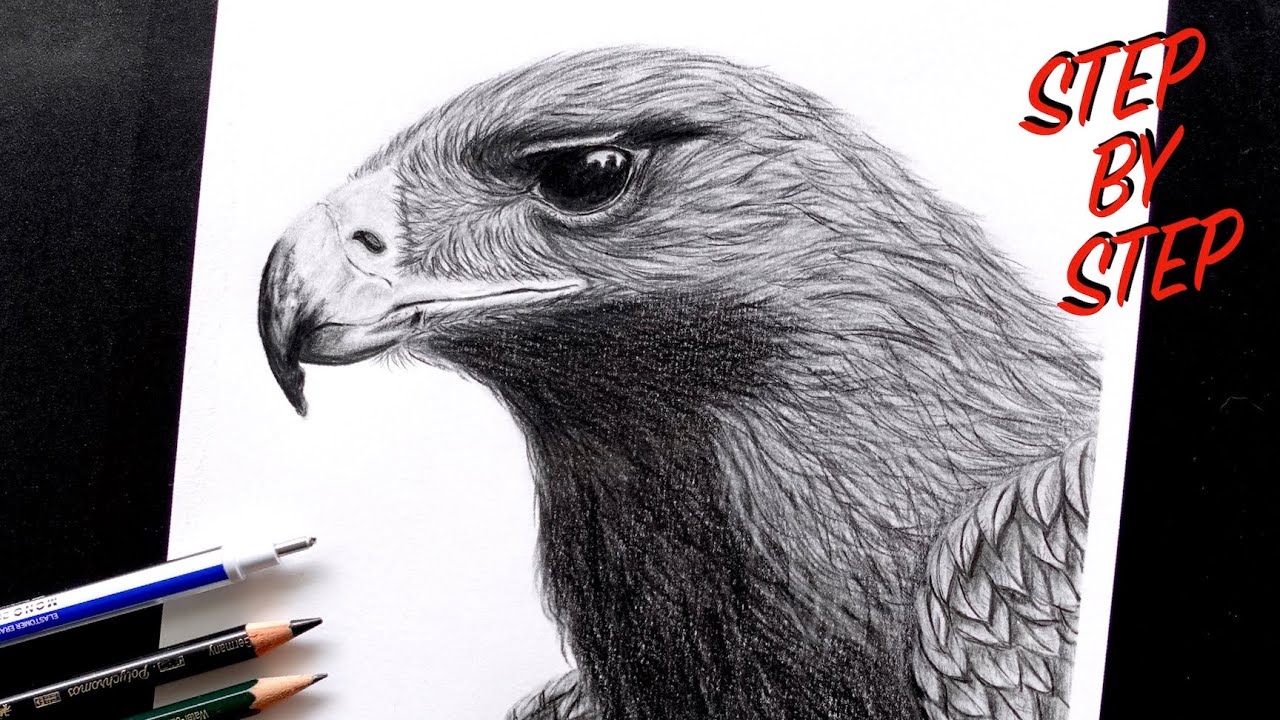 Zeichne einen REALISTISCHEN ADLER - Tutorial - Vom Start bis Ende - YouTube