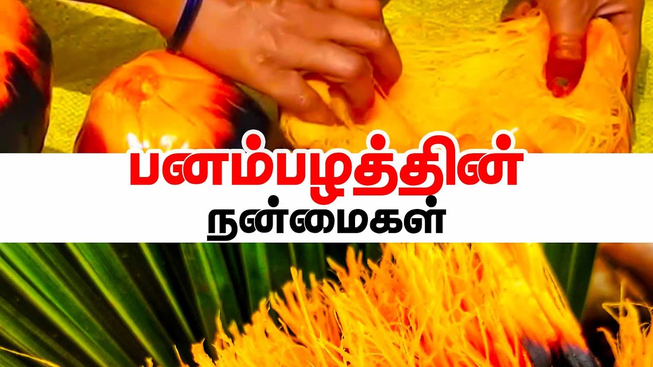 பனம்பழத்தின் நன்மைகள் | Palm Fruit Benefits - YouTube