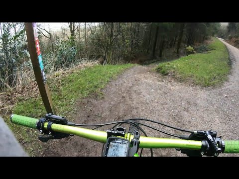 Haldon Forest Mountain Biking Ridge Ride trail (Red) Part 1b - YouTube