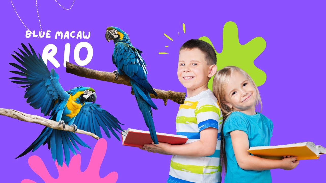 RIO: two young beautiful birds Spinx Macaw travel from USA to the ...