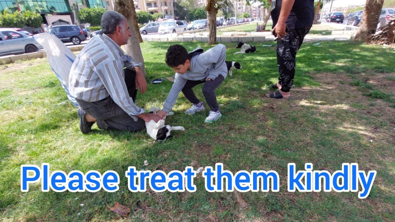 Watch uncle talking to people about animals in street - YouTube