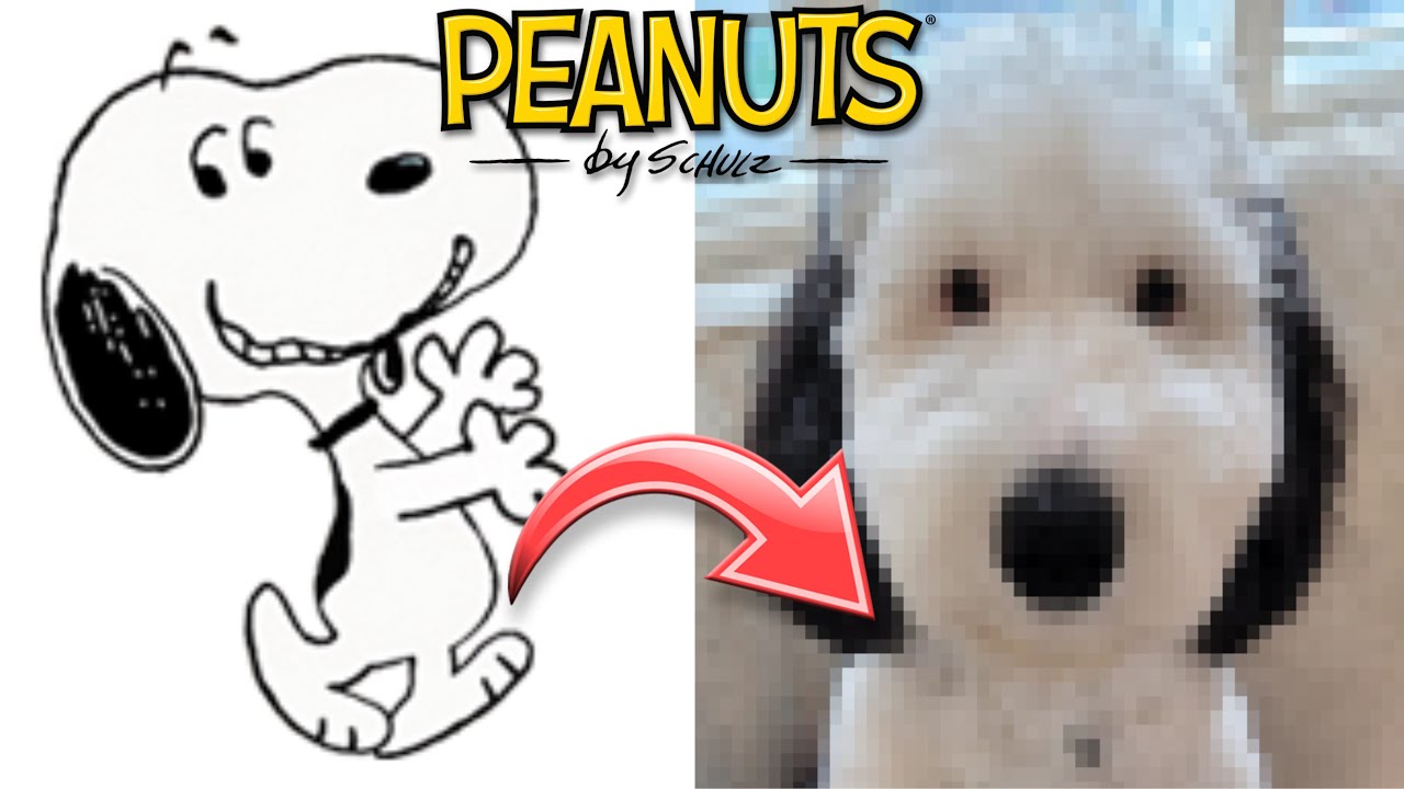 【PEANUTS】in Real Life Characters - YouTube