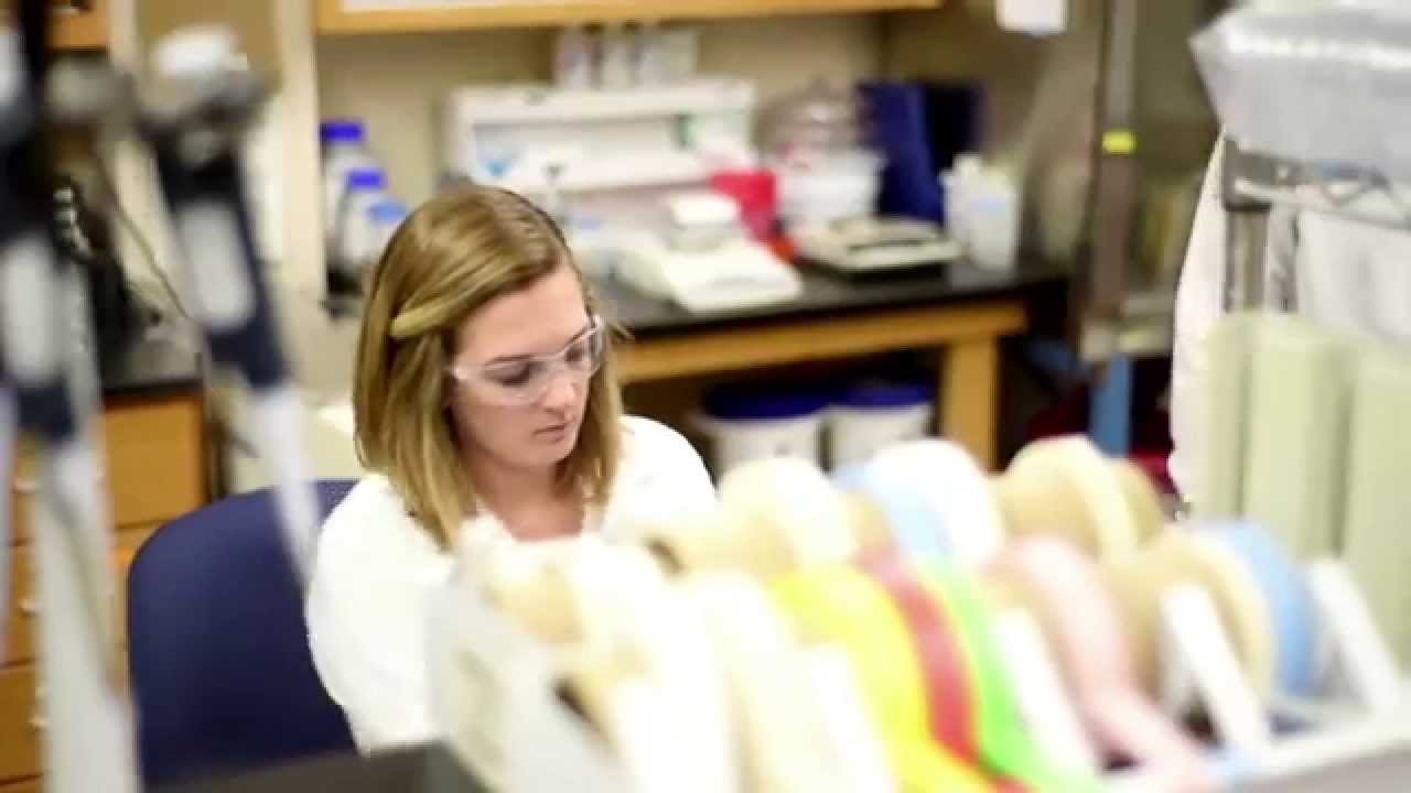 Discover the Center for Biofilm Engineering at MSU - YouTube