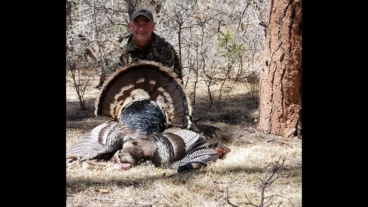 Spring Turkey, CO Opening Weekend - YouTube