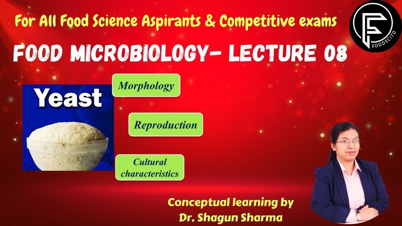 Yeast: Morphology, Reproduction & Cultural characteristics - YouTube