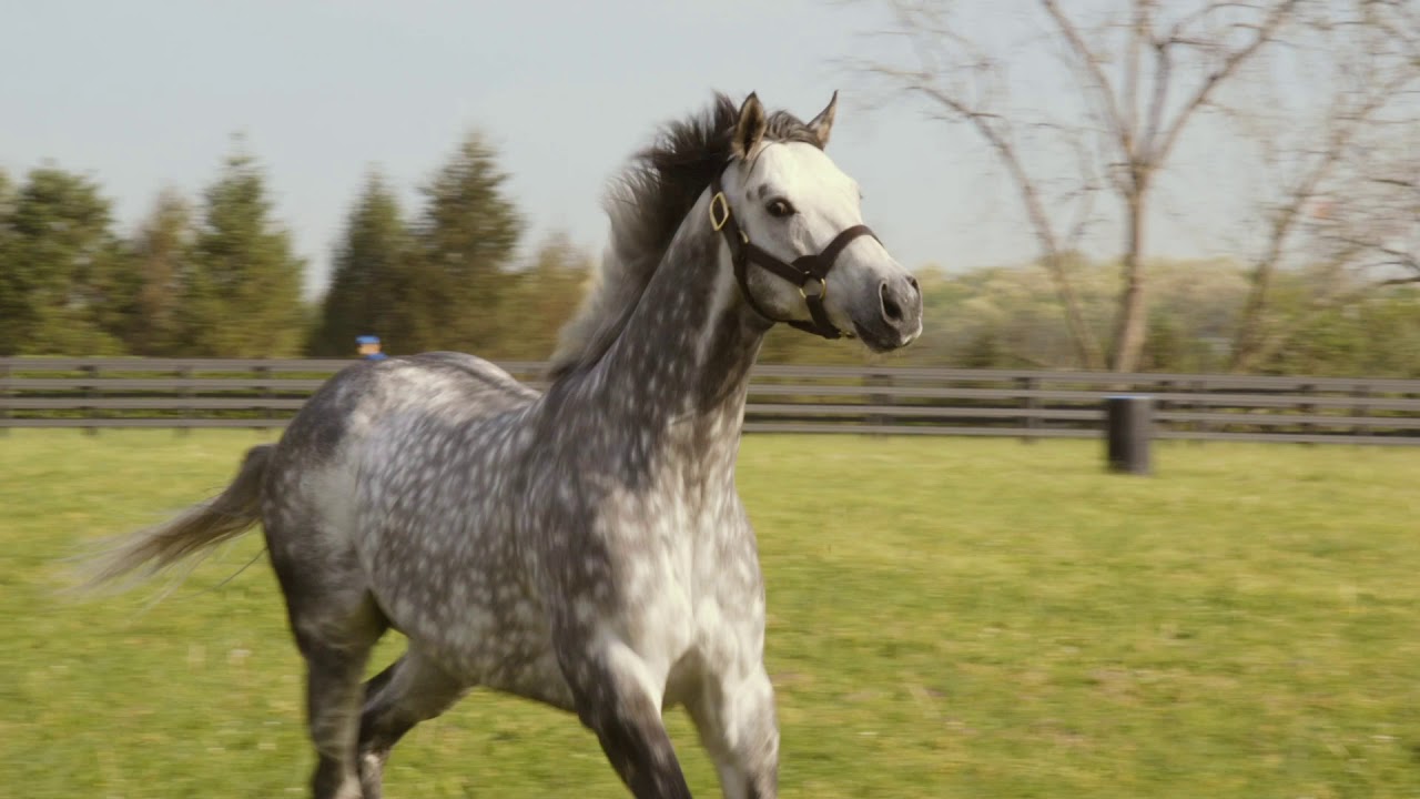 Tours at Jonabell Farm in Kentucky - YouTube
