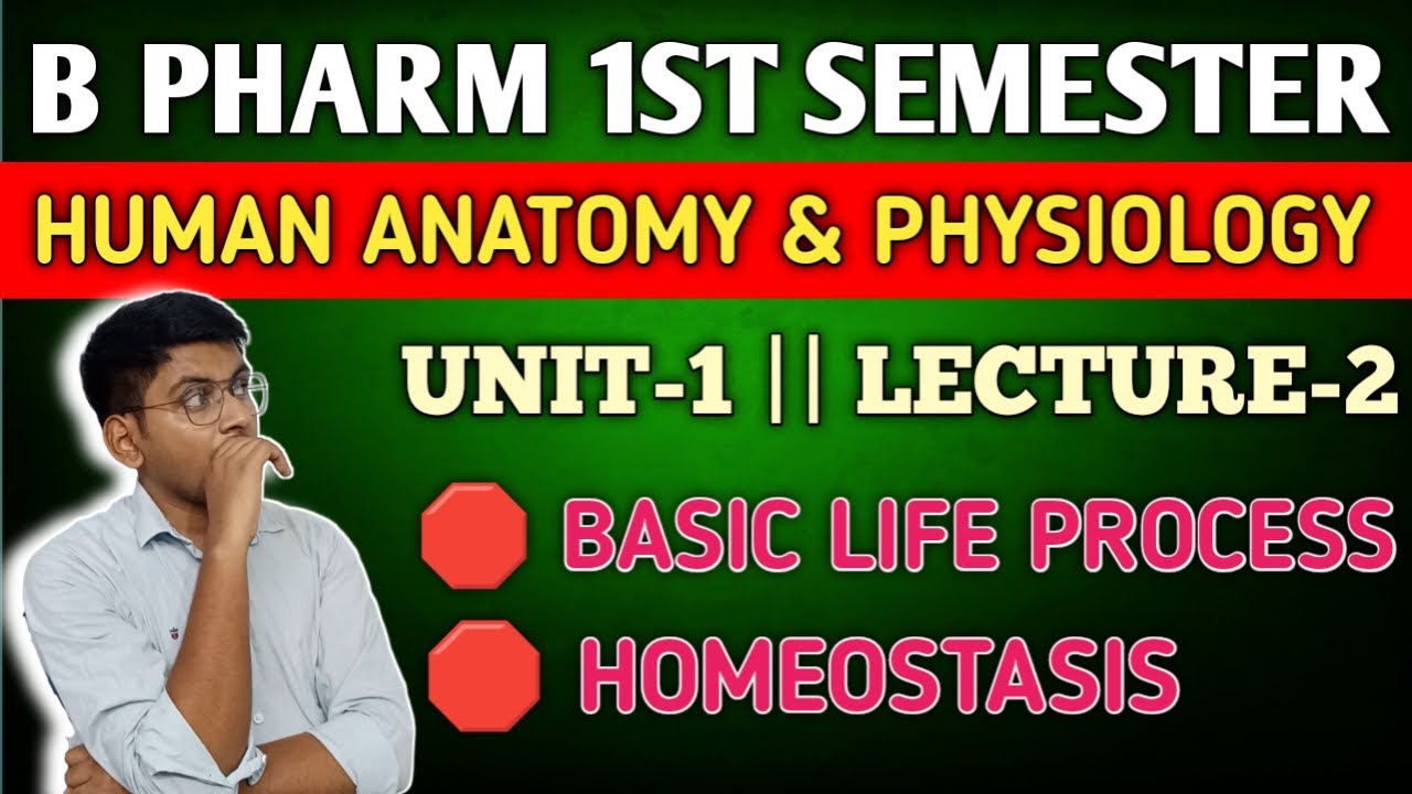 BASIC LIFE PROCESS | HOMEOSTASIS | HUMAN ANATOMY AND PHYSIOLOGY B PHARM ...