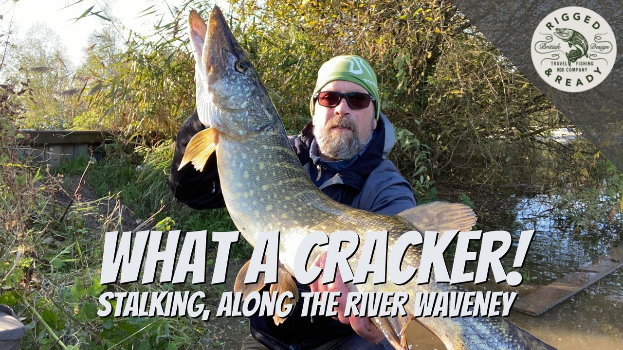 Lure Fishing with Strike Pro Guppie | Double Figure Pike from the River ...