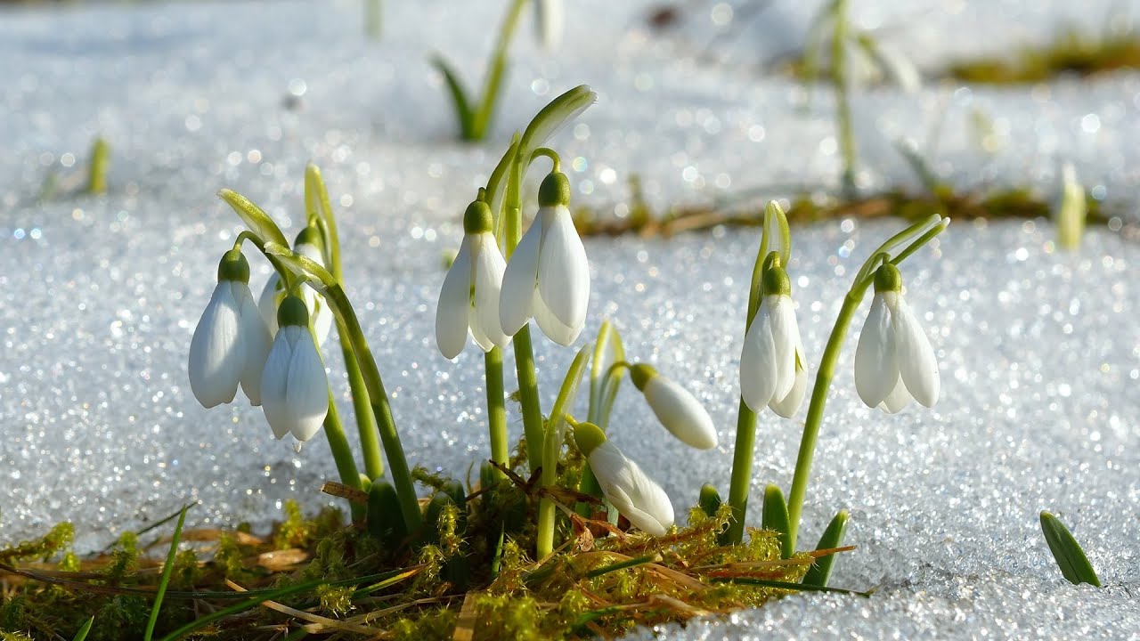 Will You Grow Show- Resistance: A Tool For Self-Care/with Angelique ...