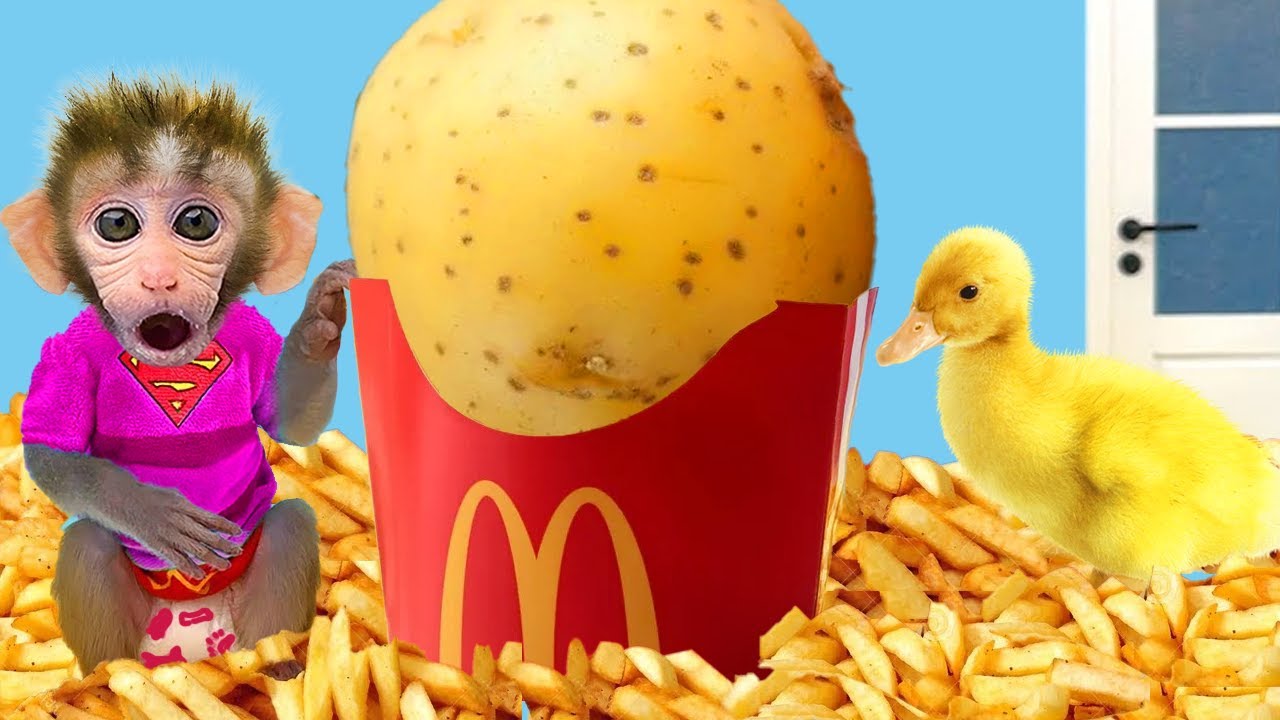 Monkey Baby Bon Bon harvest and make french fries with ducklings|funny ...