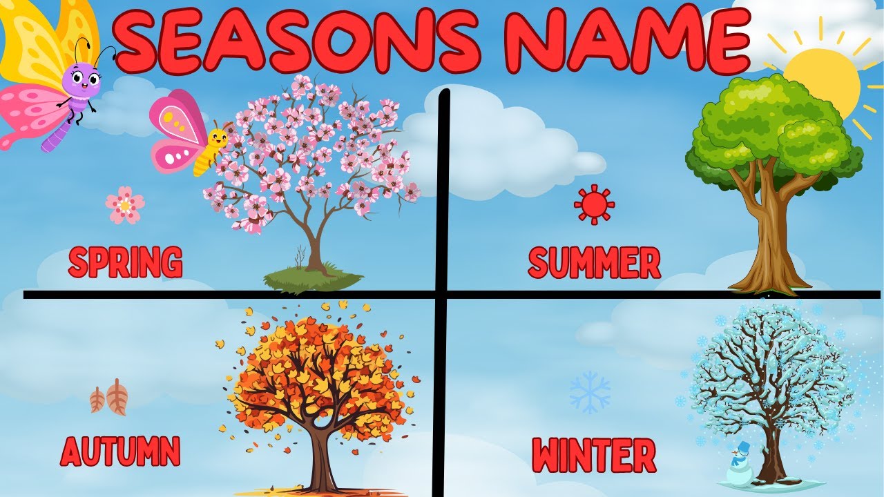 Learn Seasons [New] Name | Four Seasons | Kids vocabulary | English ...