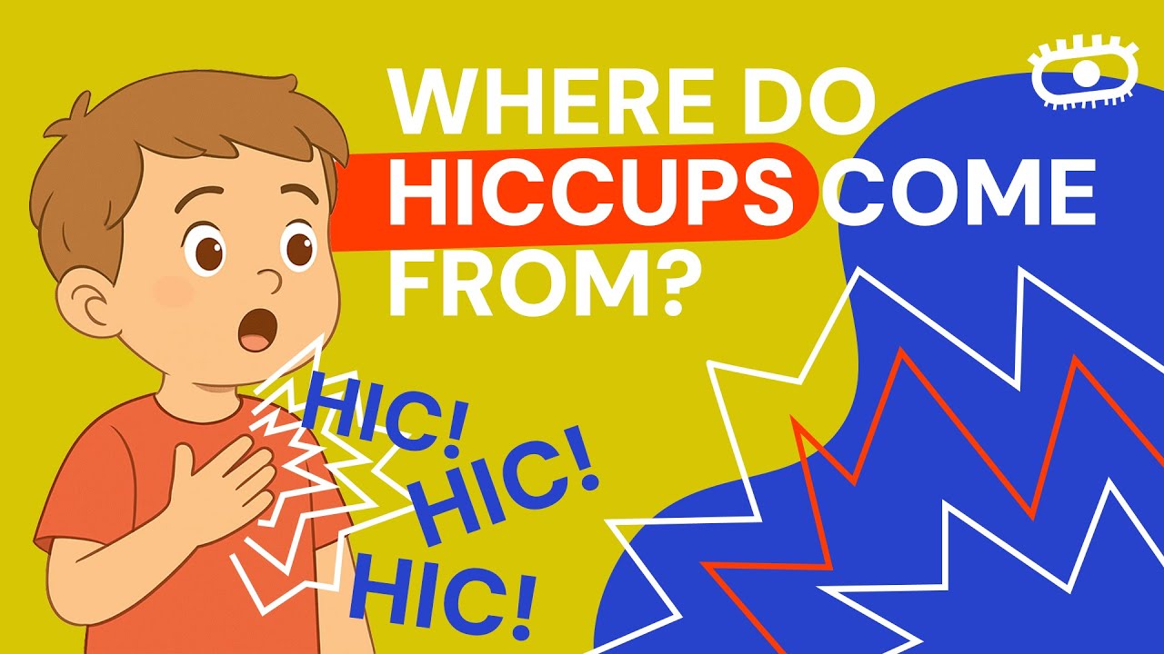 Why Do We Get Hiccups? | Fun Science for Kids - YouTube