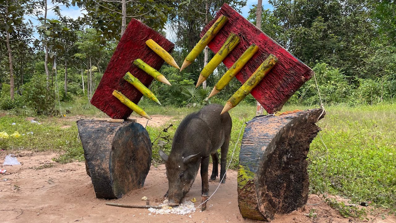 Giant Wild Boar Trap - The Power Pig Trap Make from Big Wood #animals # ...