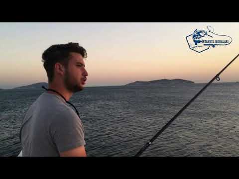 GECE İSTAVRİT NASIL TUTULUR... TAKIM BİLGİSİ VE TAKTİKLER #surfcasting #fishing #balıkavı