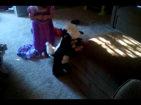 Skunky poo! - YouTube