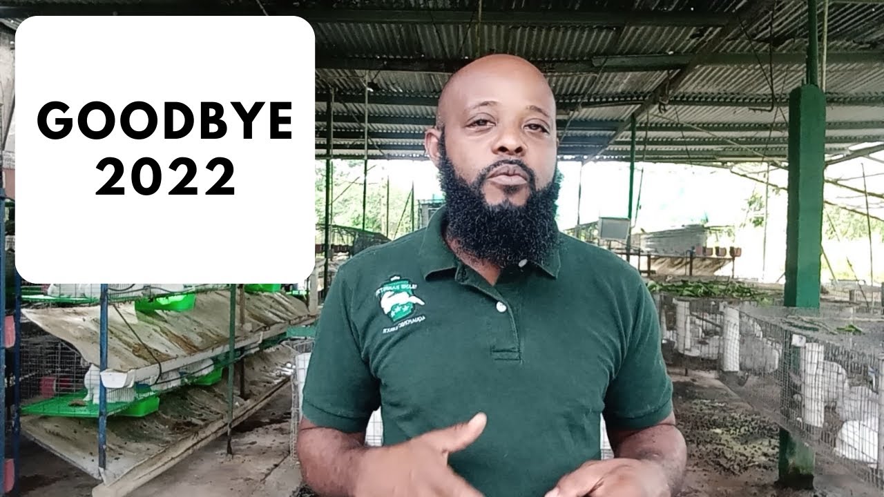 Trinidad Rabbit Farming - Goodbye 2022 - YouTube