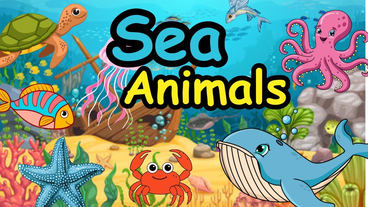 Sea animals kids learning /# seaanimals/English educational vedio/kids ...