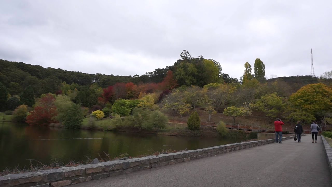 Adelaide, Autumn 2015 - YouTube