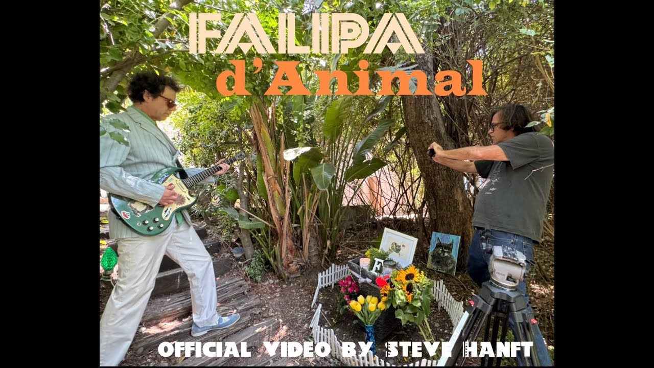 "Falipa" by d'Animal OFFICIAL VIDEO by Steve Hanft - YouTube
