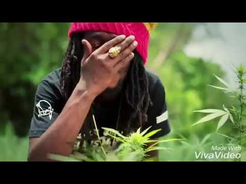 je rajar rani nai se raja gaja