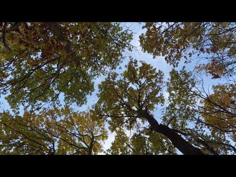 Sarmadı Tabii - Tolga Tarık | Modern Türkçe Pop (Duygusal & Groove) 🎧
