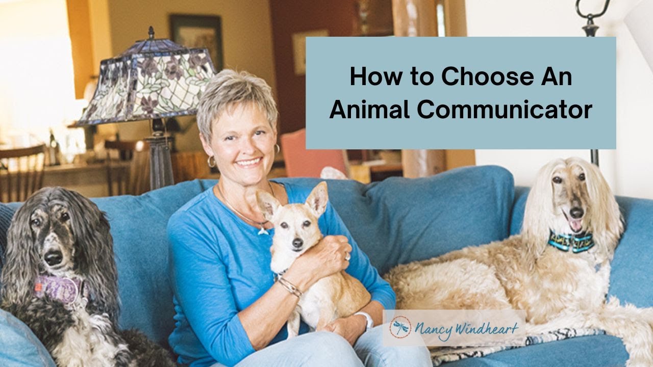 How to Choose An Animal Communicator - YouTube