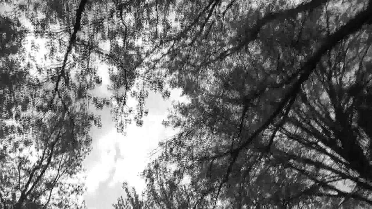 An Impossible Promise, Hazel Ra - YouTube