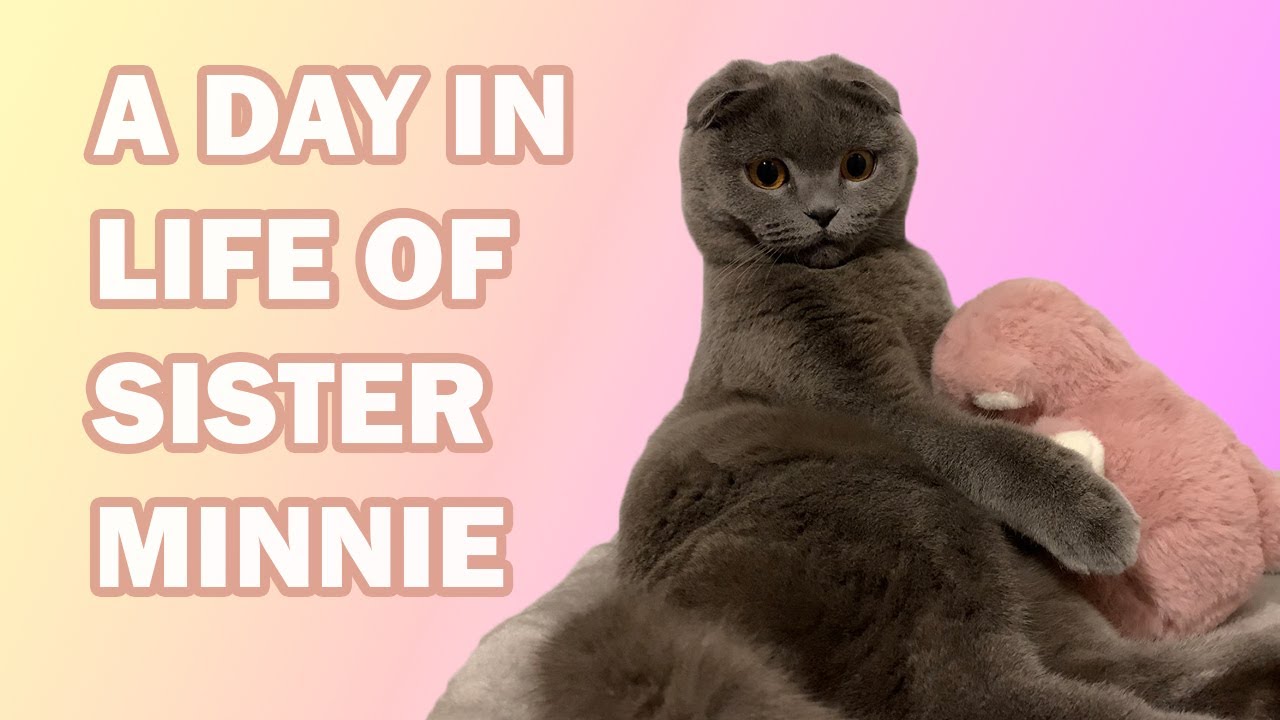 A Day in Life of Sister Minnie - YouTube