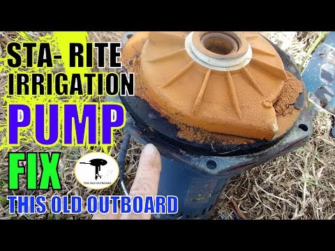 How To Rebuild A Sta Rite Shallow Well Pump